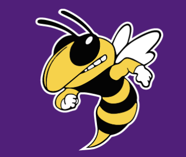 Westville Yellowjackets Football Preview – Presented by Mountain View ...